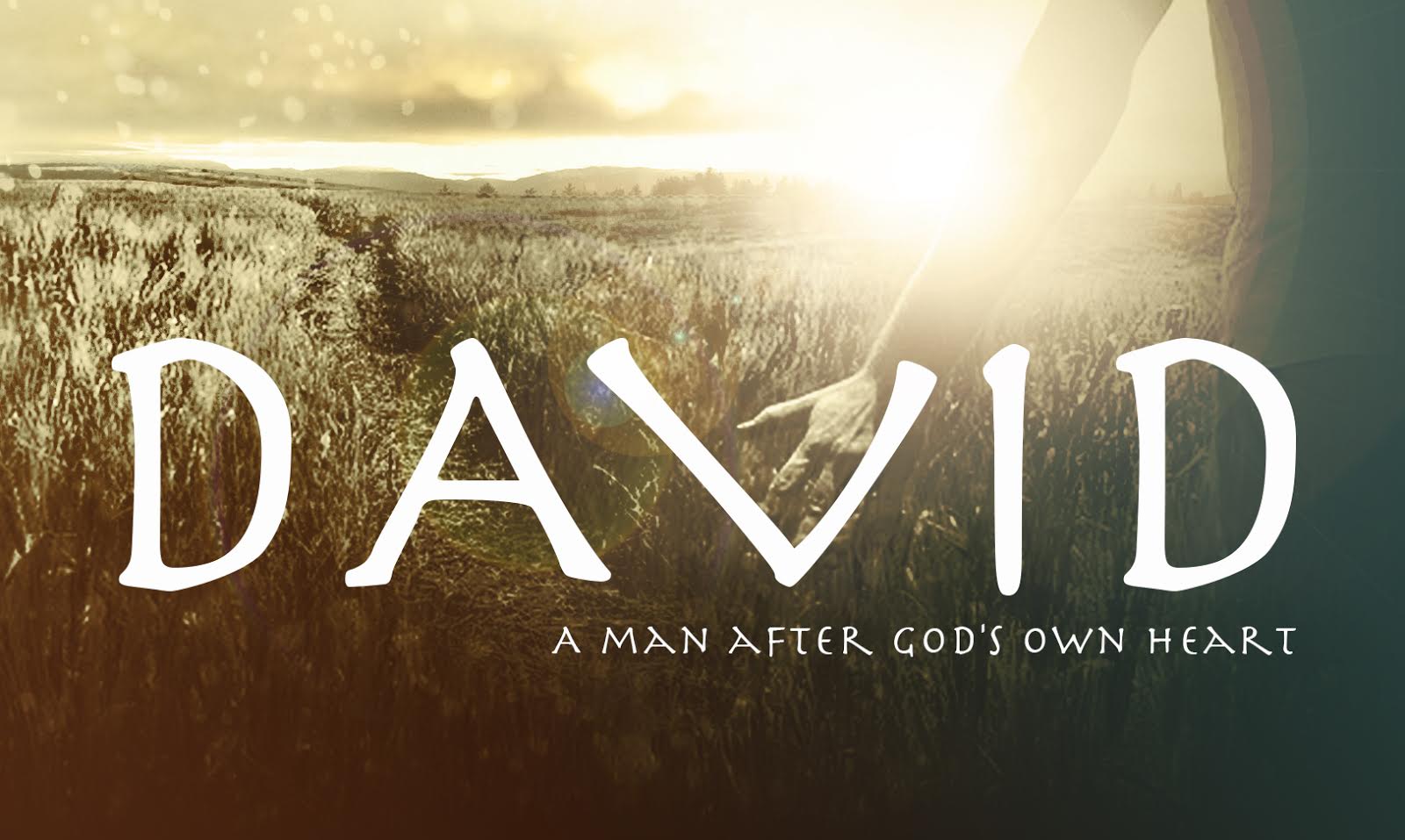 The Heart Of David | The Heaton File