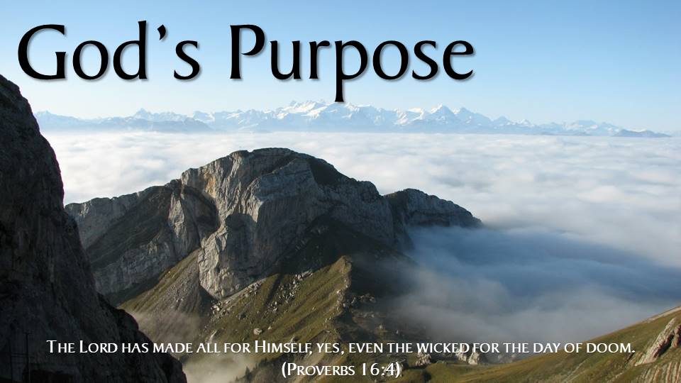 God’s Purpose | The Heaton File