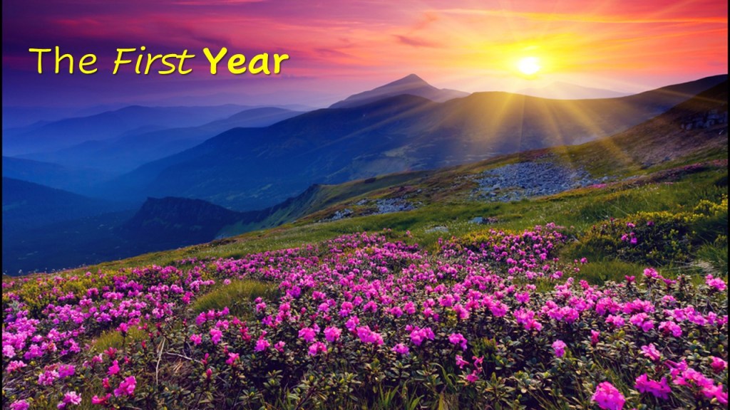 The First Year | The Heaton File