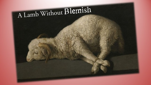 A Lamb Without Blemish | The Heaton File