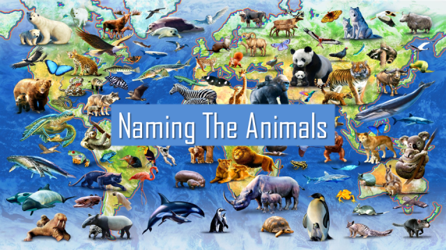 Naming The Animals | The Heaton File