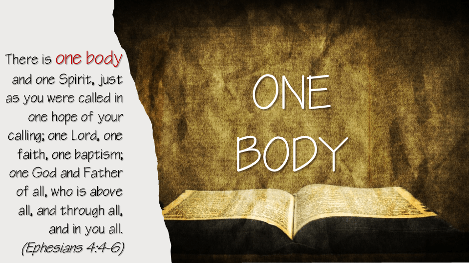 One Body | The Heaton File